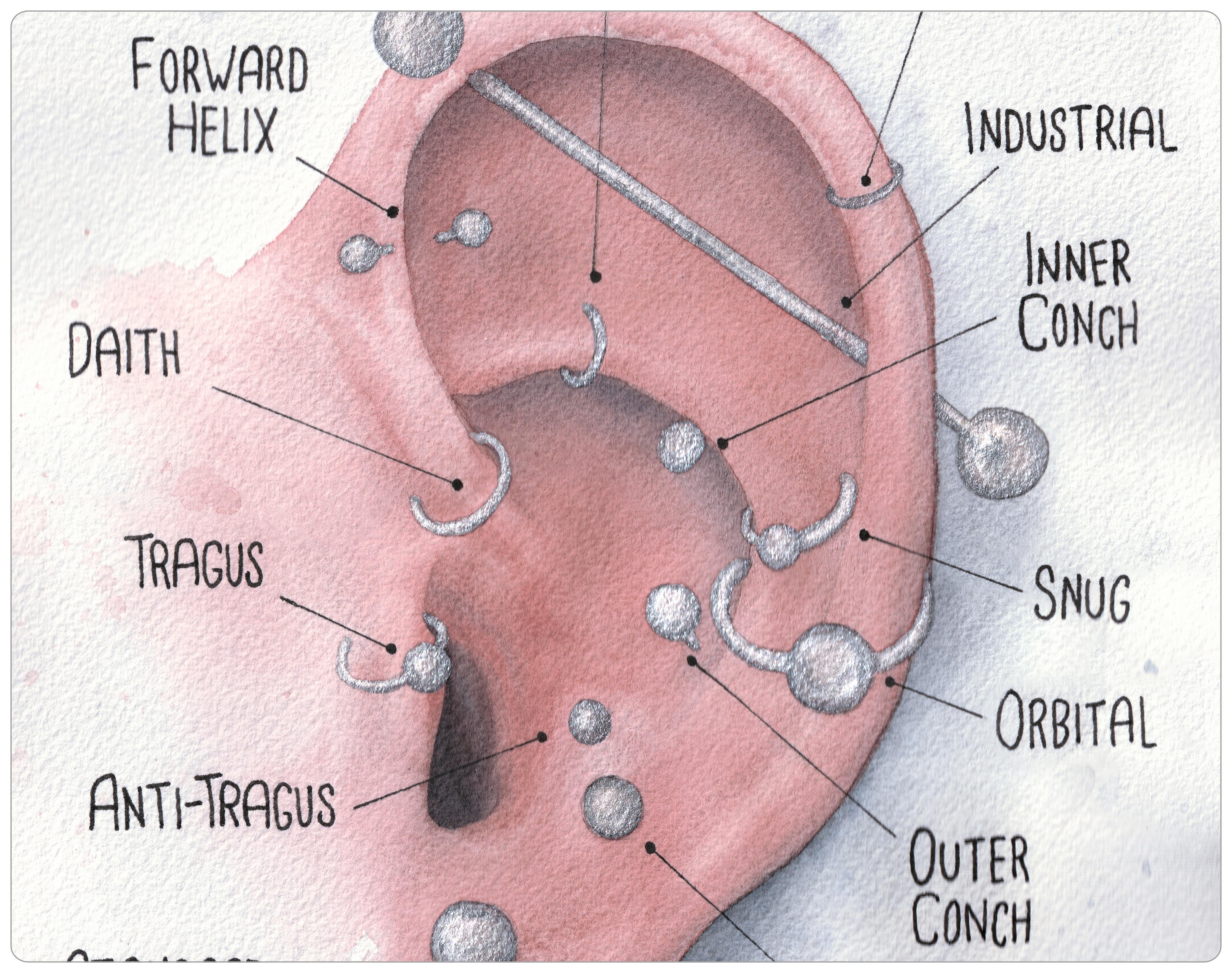 Watercolor Ear Piercing Chart | Shop for a 11” x 14” Landscape Photo ...