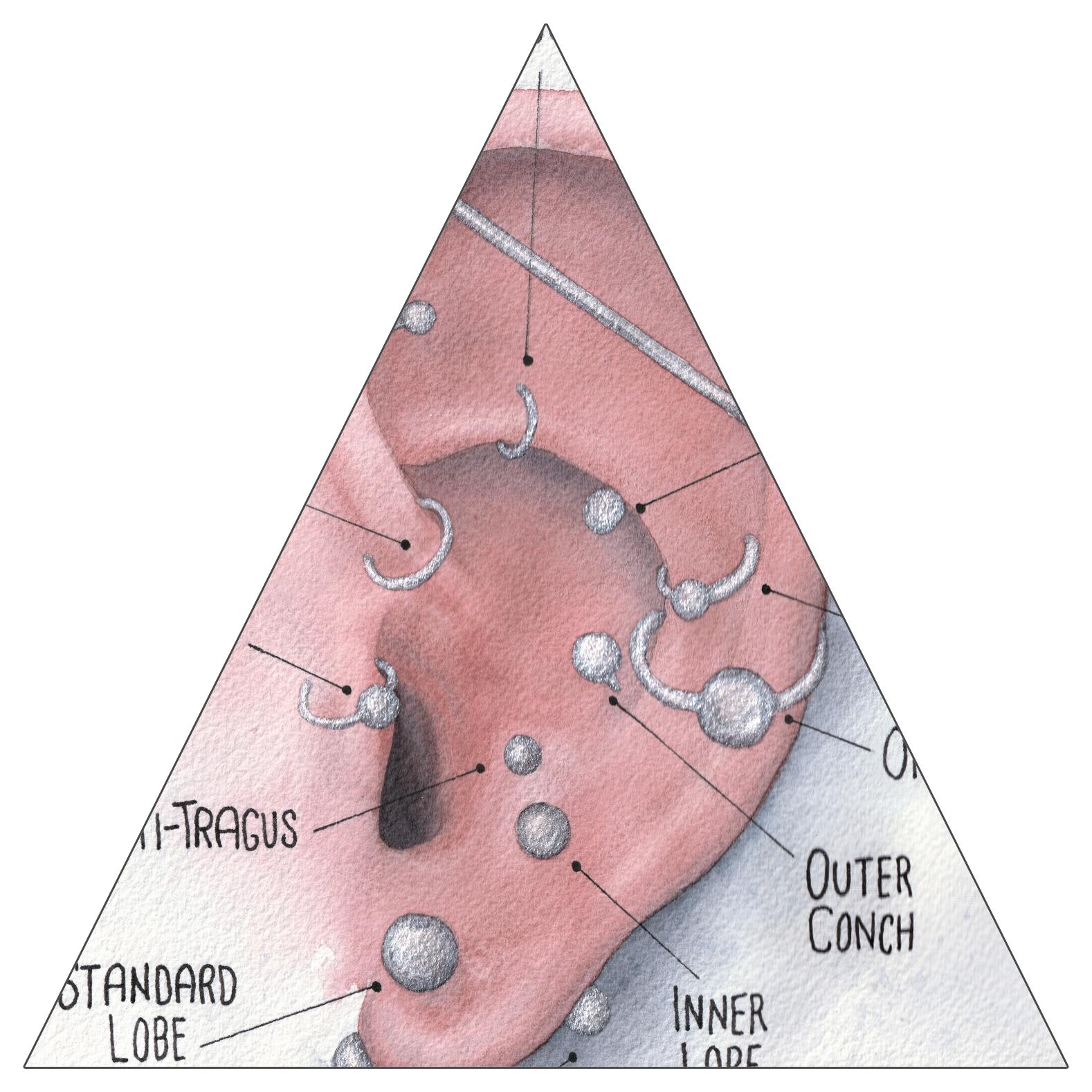 Watercolor Ear Piercing Chart | Shop for a 5” Triangle Sticker Shape ...