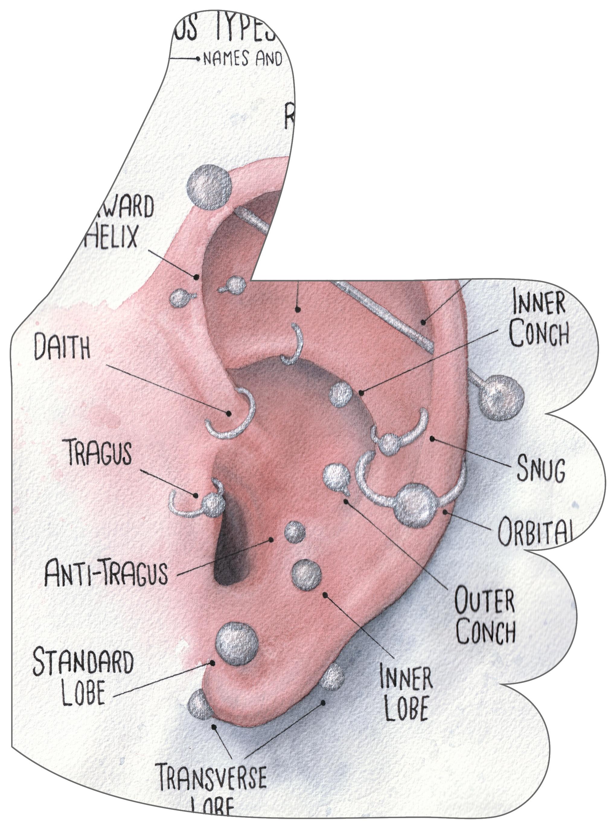 Watercolor Ear Piercing Chart | Shop for a Thumbs Up 9" Sticker ...