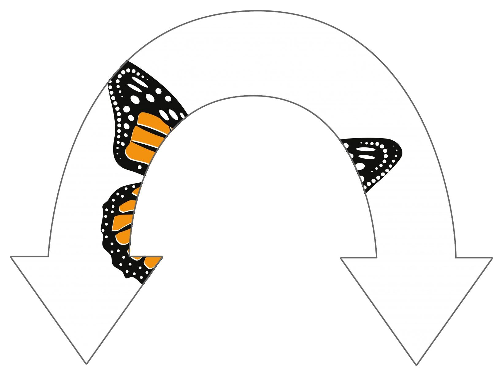 Monarch Butterfly | Shop for a Double Down Arrow 4” Sticker | Online ...