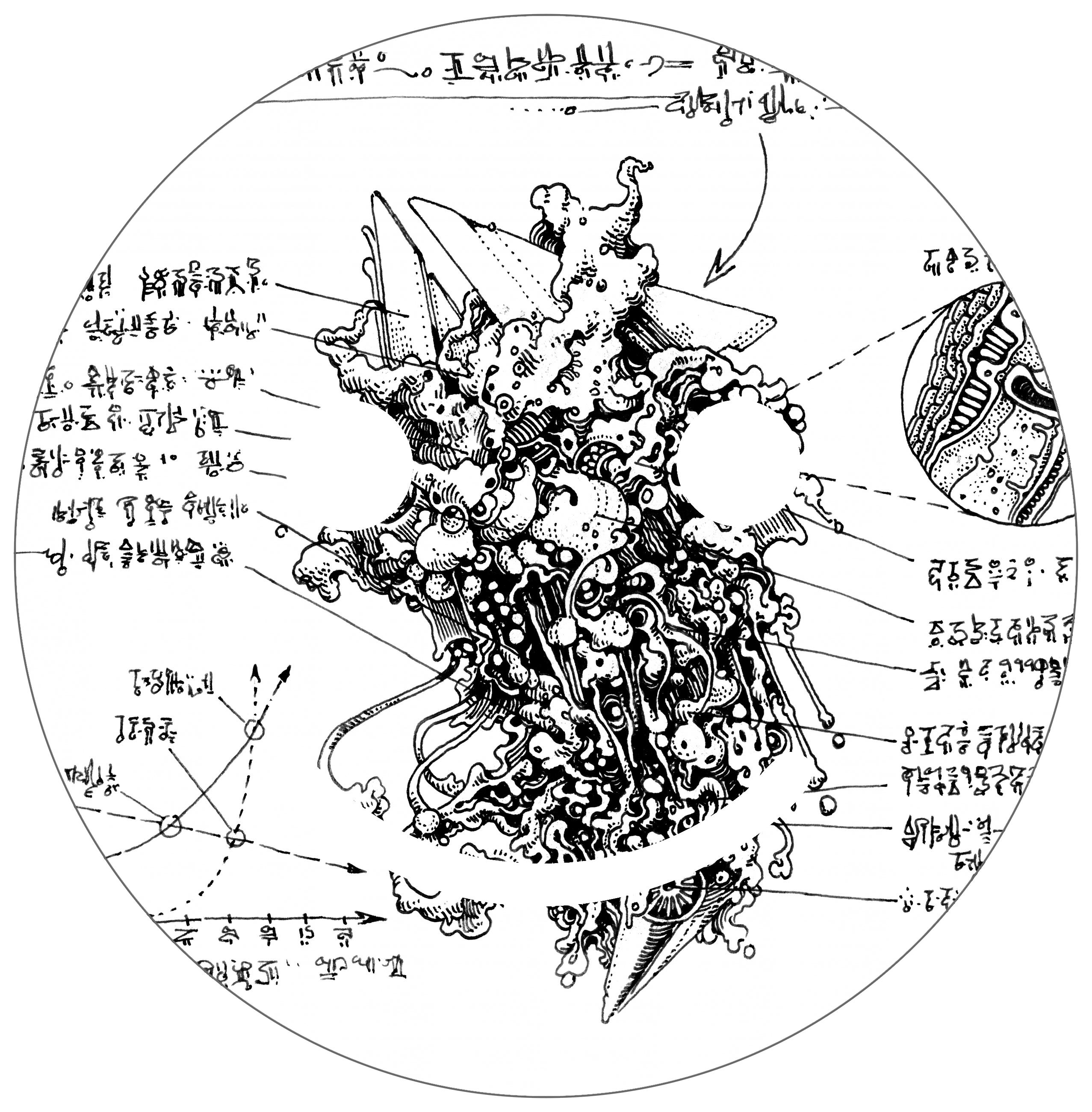 Anatomy | Shop for a Smiley Face 9” Sticker | Online - APEALZ
