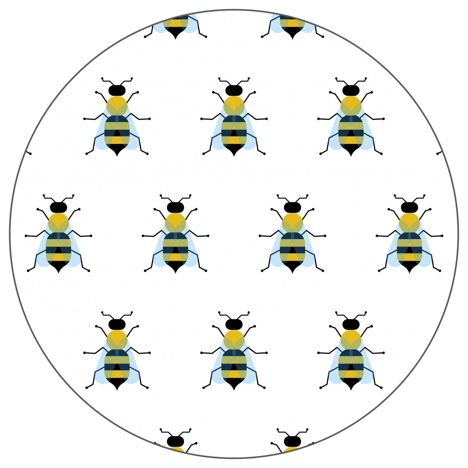 Custom Circle Stickers and Labels, 5” Circle Sticker