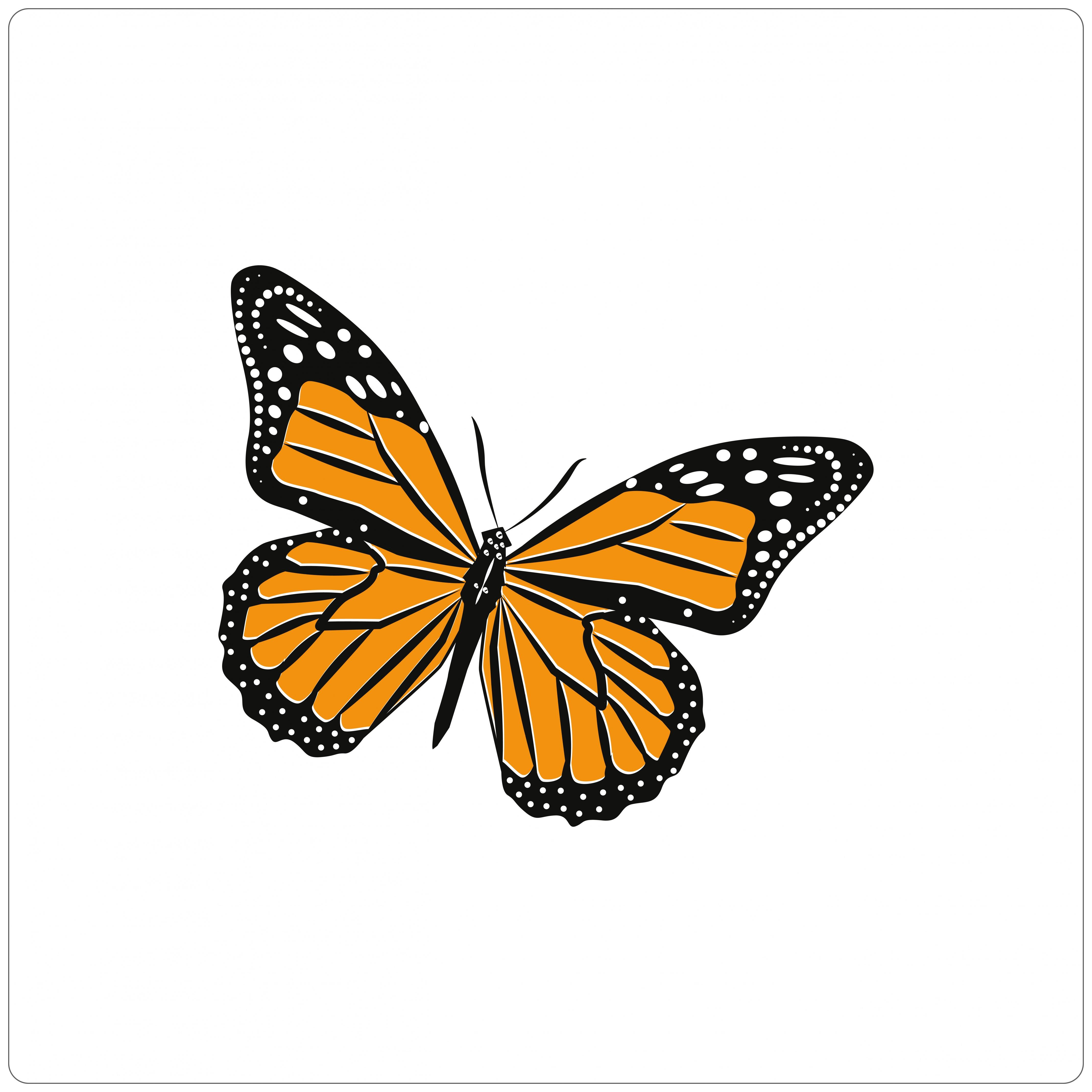 Monarch Butterfly | Shop for a 14” Square Sticker Shape | Online - APEALZ