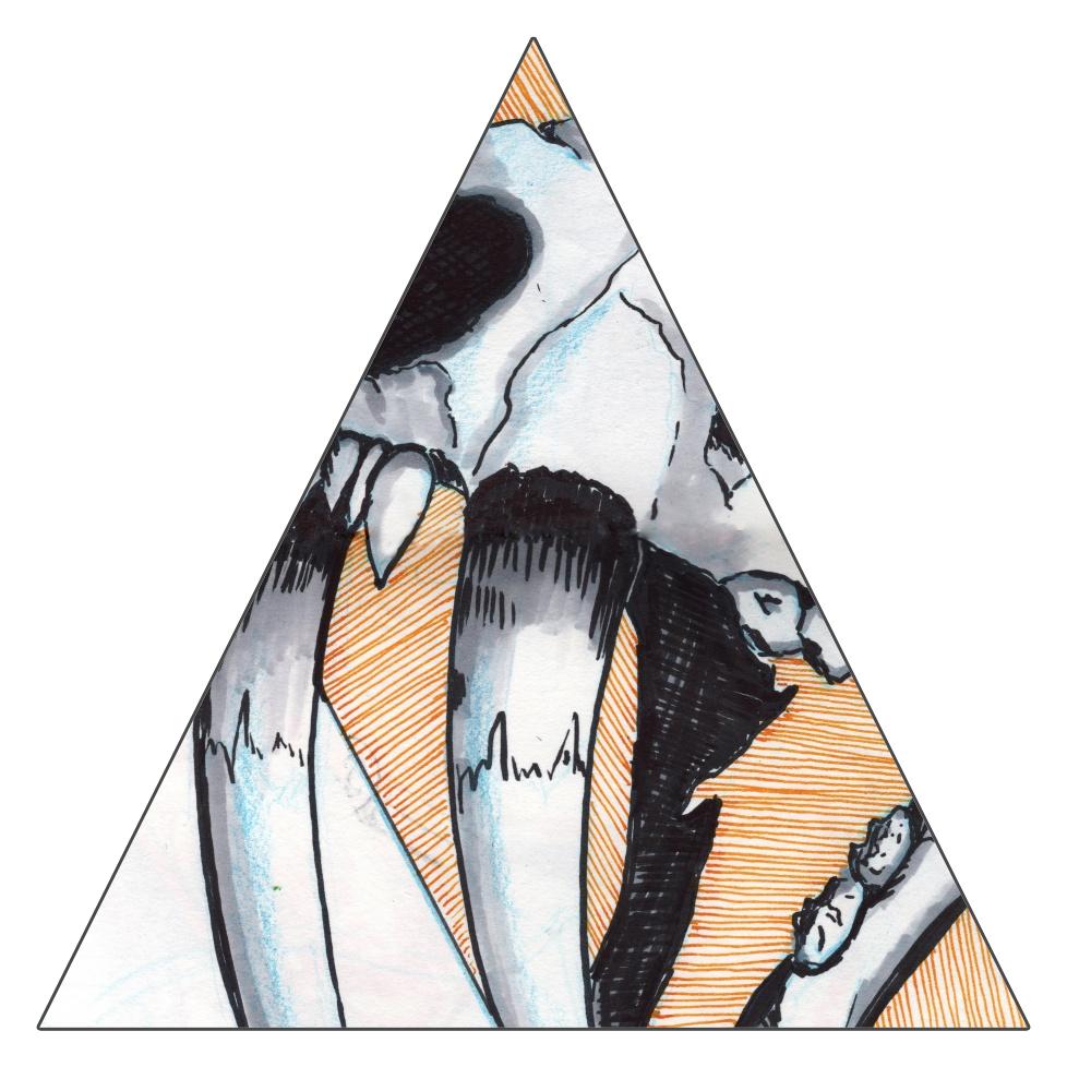 Sabertooth Skull | Shop for a 3” Triangle Sticker Shape | Online - APEALZ