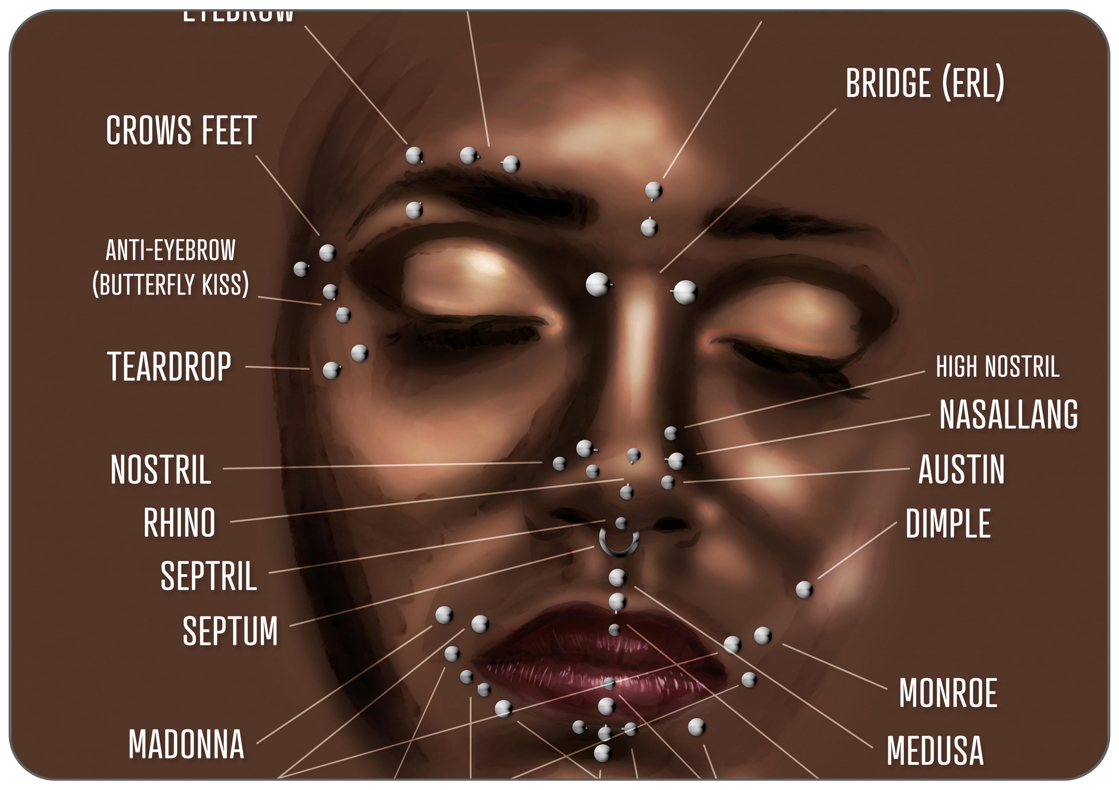 Facial Piercing Chart | Shop for a MacBook Pro 13" (2016-2020) Skin ...