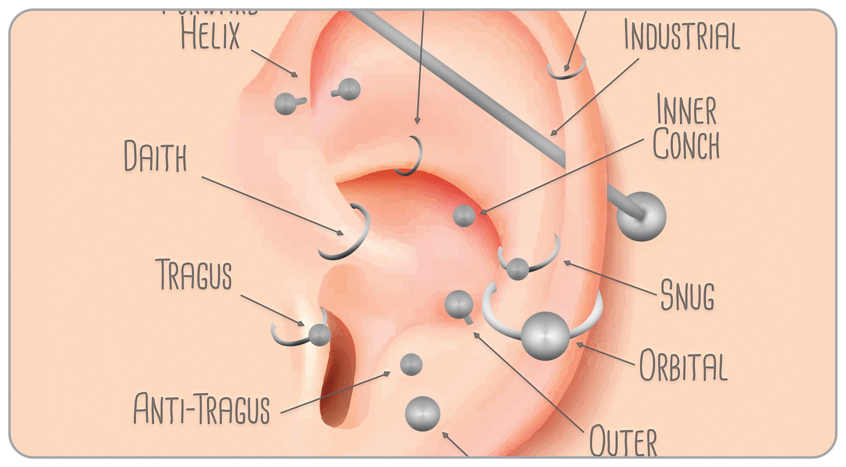 Ear Piercing Chart | Shop for a Yeti Rambler® 18oz Skin | Online - APEALZ