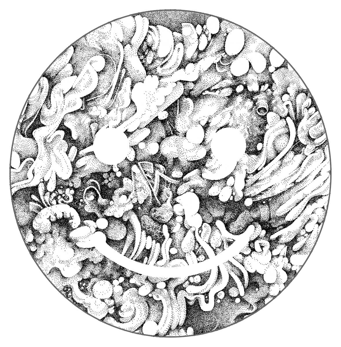 Squiggly Wiggle | Shop for a Smiley Face 4" Sticker | Online - APEALZ