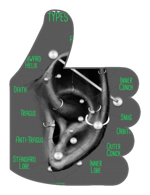 Elven Ear Piercing Chart, Green, Black and Grey | Shop for a Thumbs Up ...