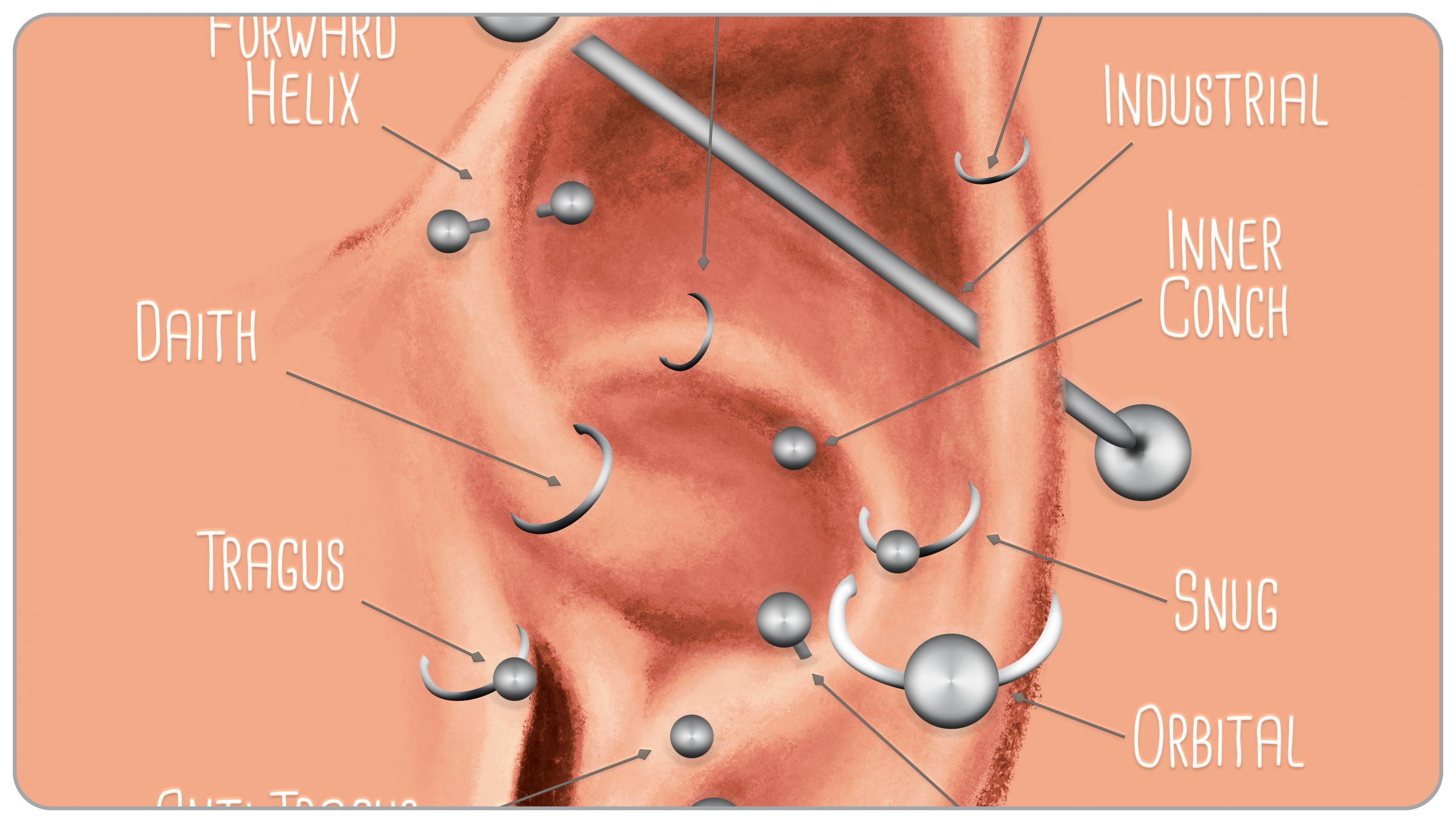 Elven Ear Piercing Chart | Shop for a Yeti Rambler® 26 oz Skin | Online ...