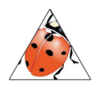 Little Ladybug | Shop for a 1” Triangle Sticker Shape | Online - APEALZ
