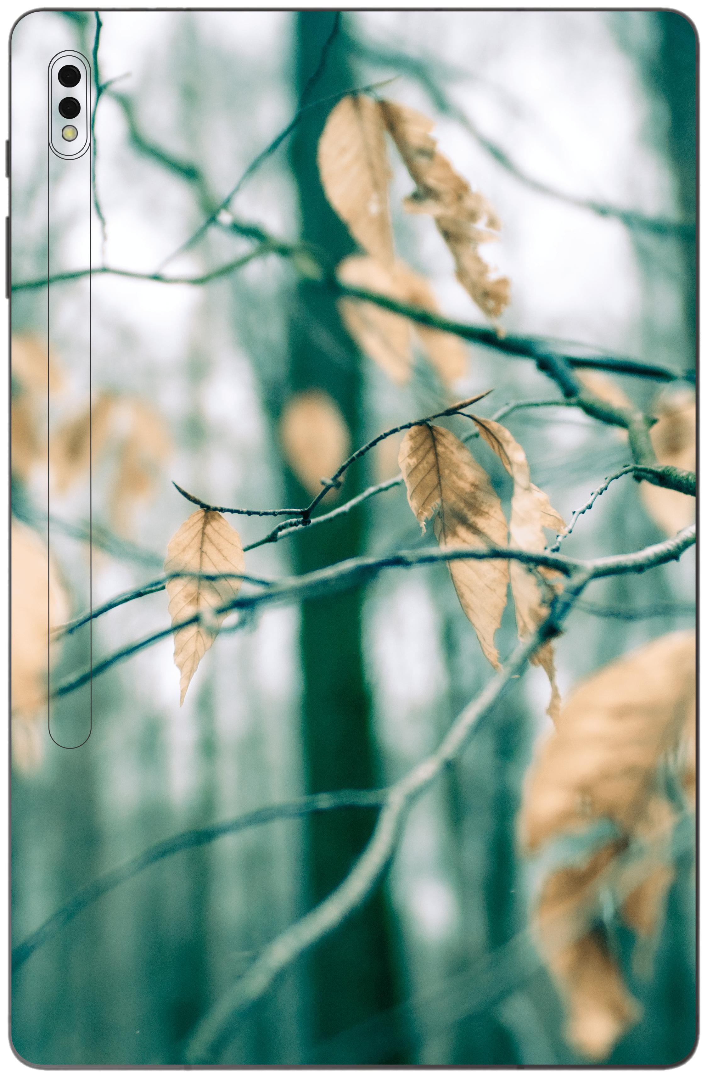Through the Trees | Shop for a Samsung Galaxy Tab S8+ Skin | Online ...