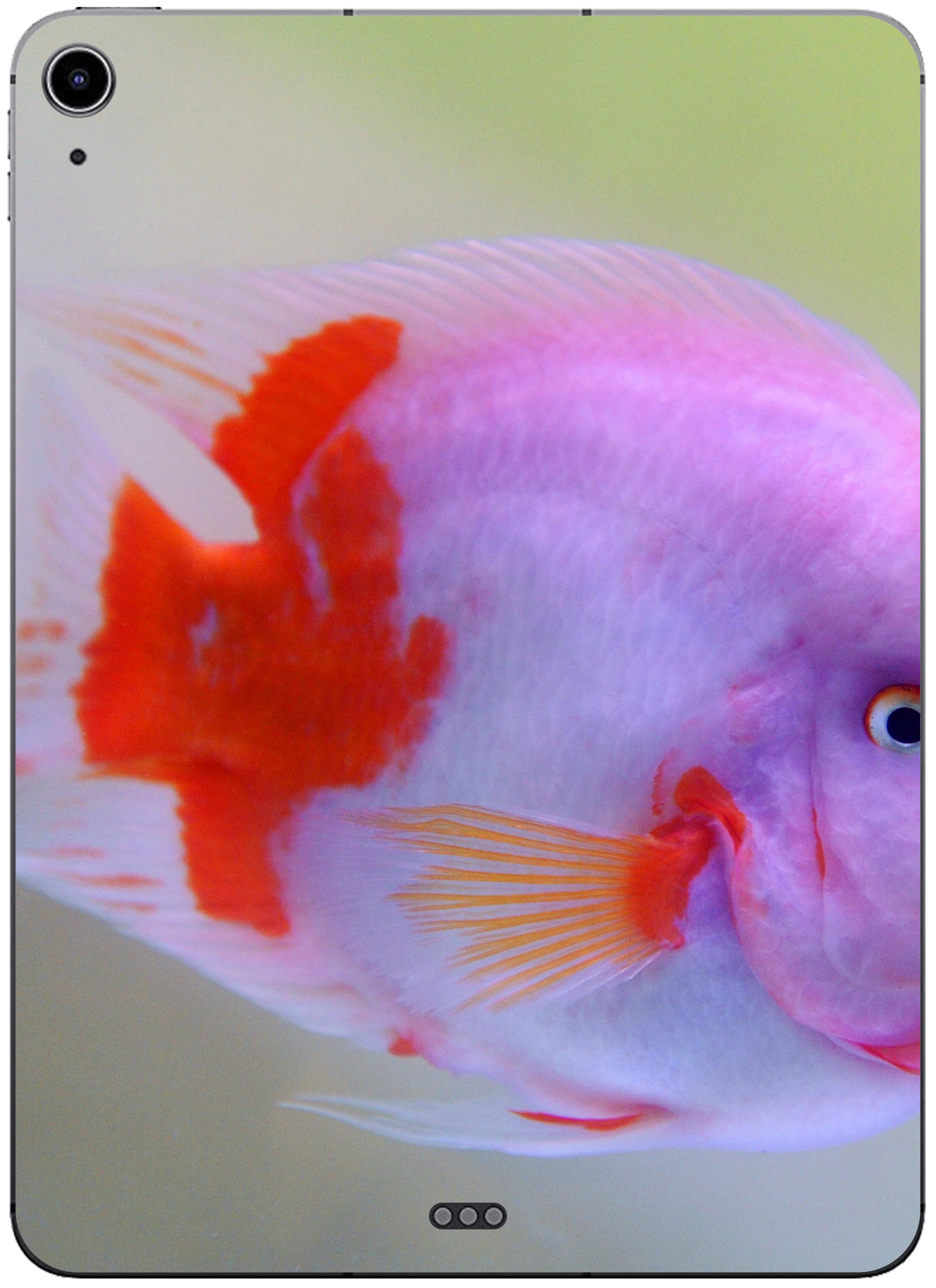 Elvis Fish | Shop for a iPad Air M1 (5th Gen, 2022) 10.9” Skin | Online ...